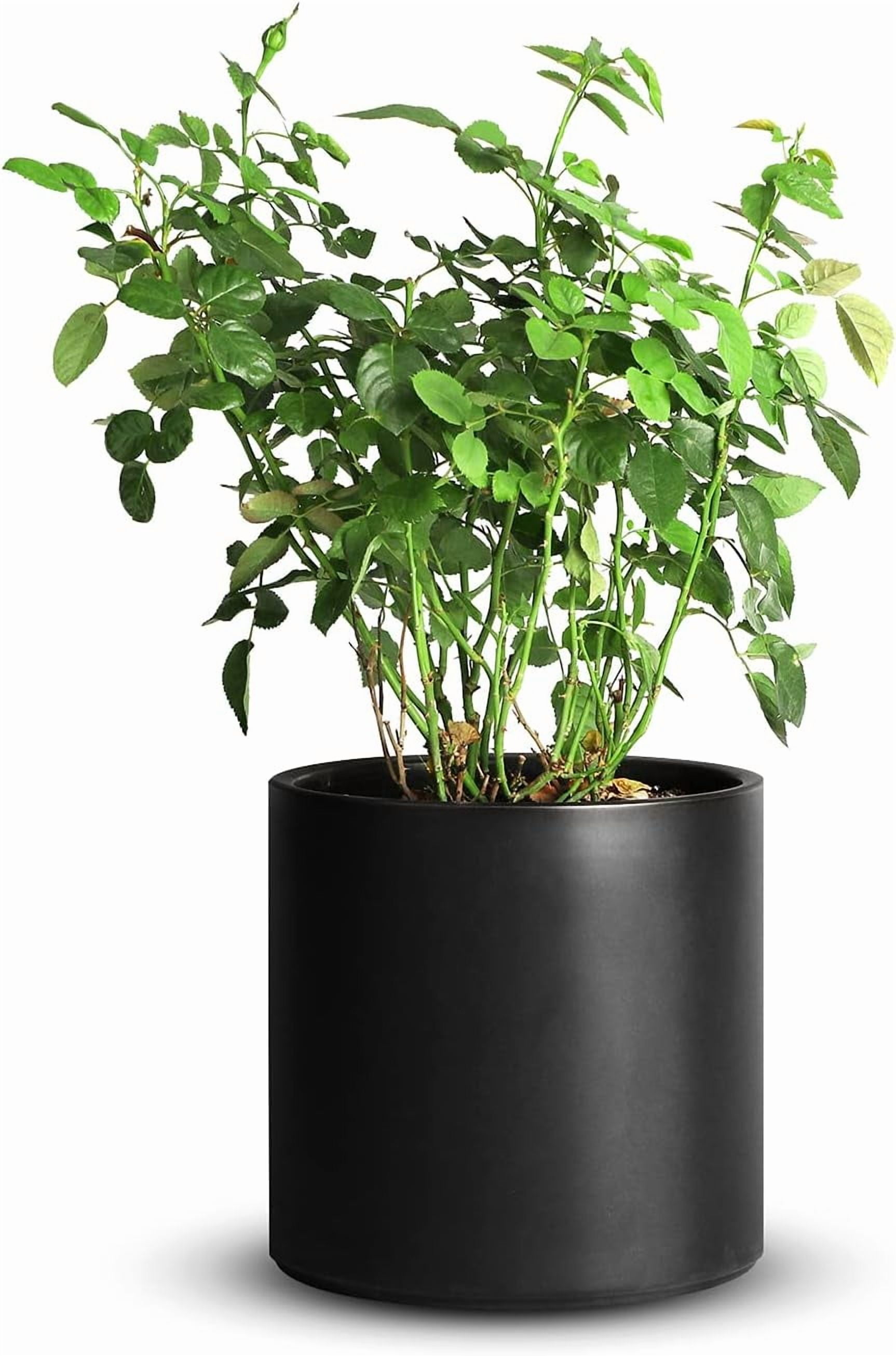 10x10 Inch Black Modern Ceramic Plant Pot – With Drainage Hole for ...