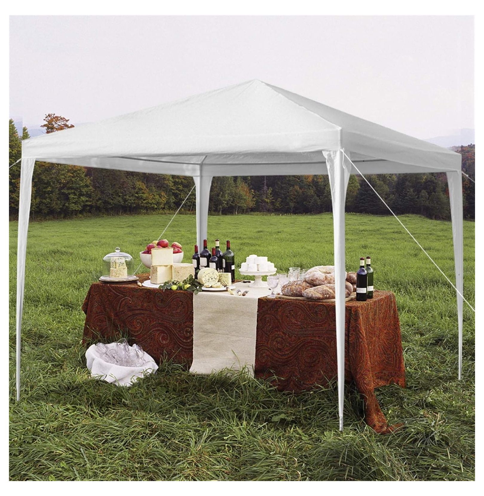 10x10 Party Tent, Tents for Parties with Dressed Legs, Outdoor Tents ...