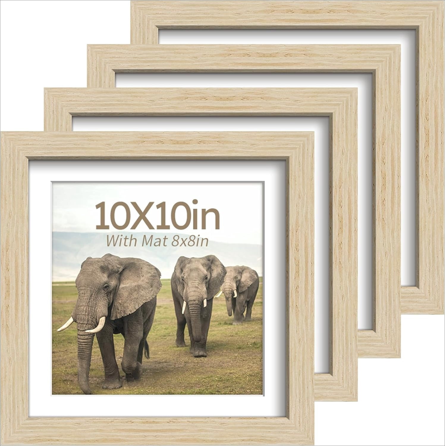 10x10 Picture Frame Set - 4 Pack, Oak Solid Wood Photo Frames ...