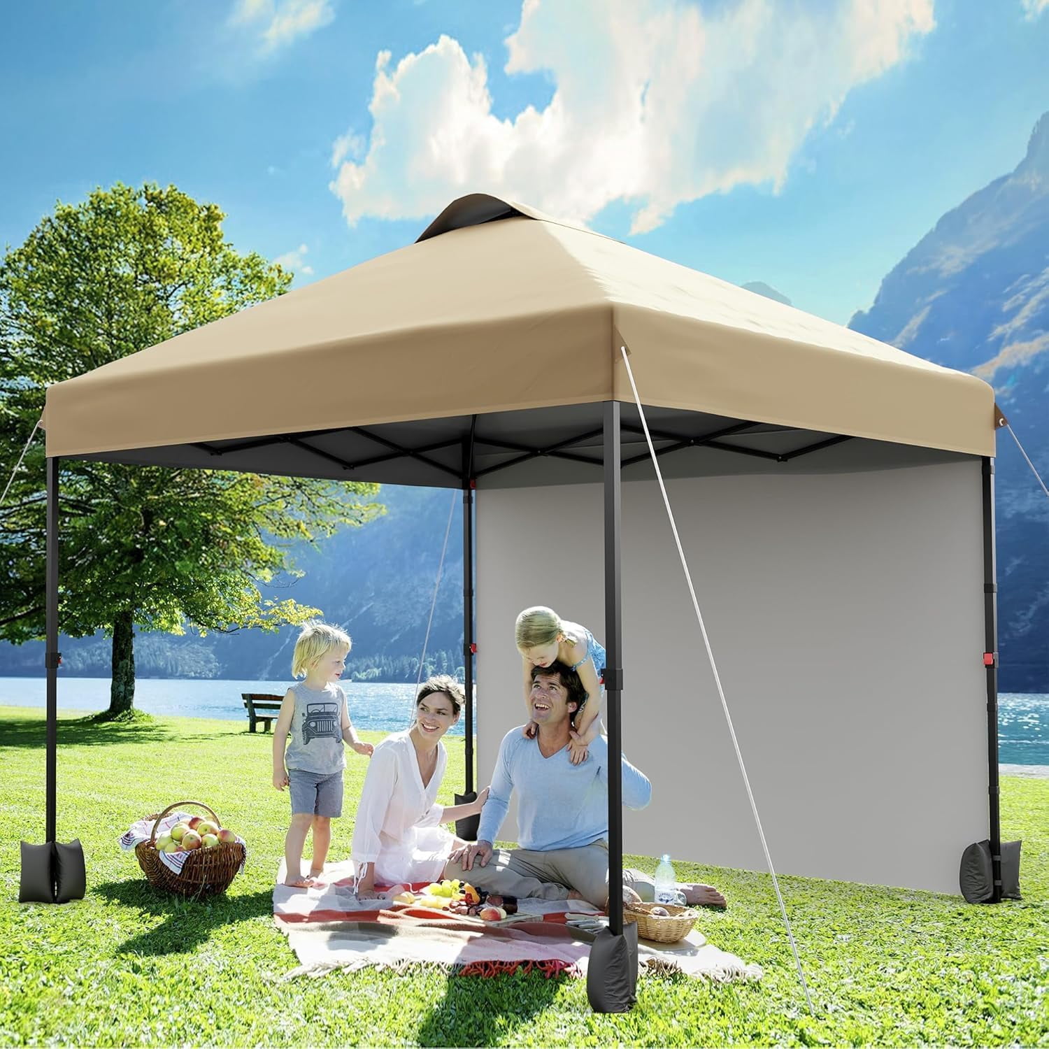 10x10 Pop-Up Canopy Tent with Removable Sidewall, Commercial-Grade ...