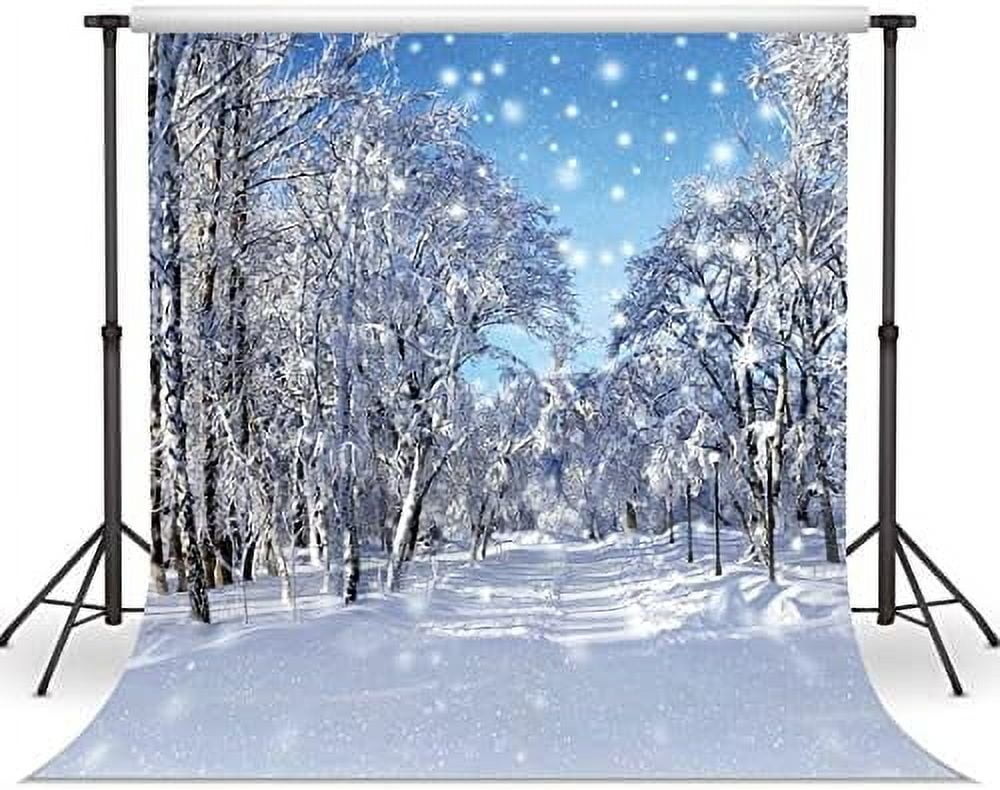 10x10FT Winter Scene Backdrop Winter White Snowy Forest Photography ...