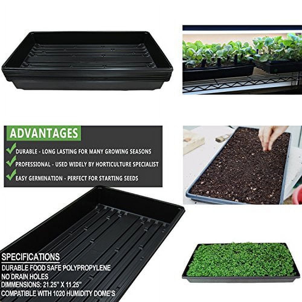 10x20 Inch Black Plastic 50 Pack Plant Propagation Tray – Growing Trays ...