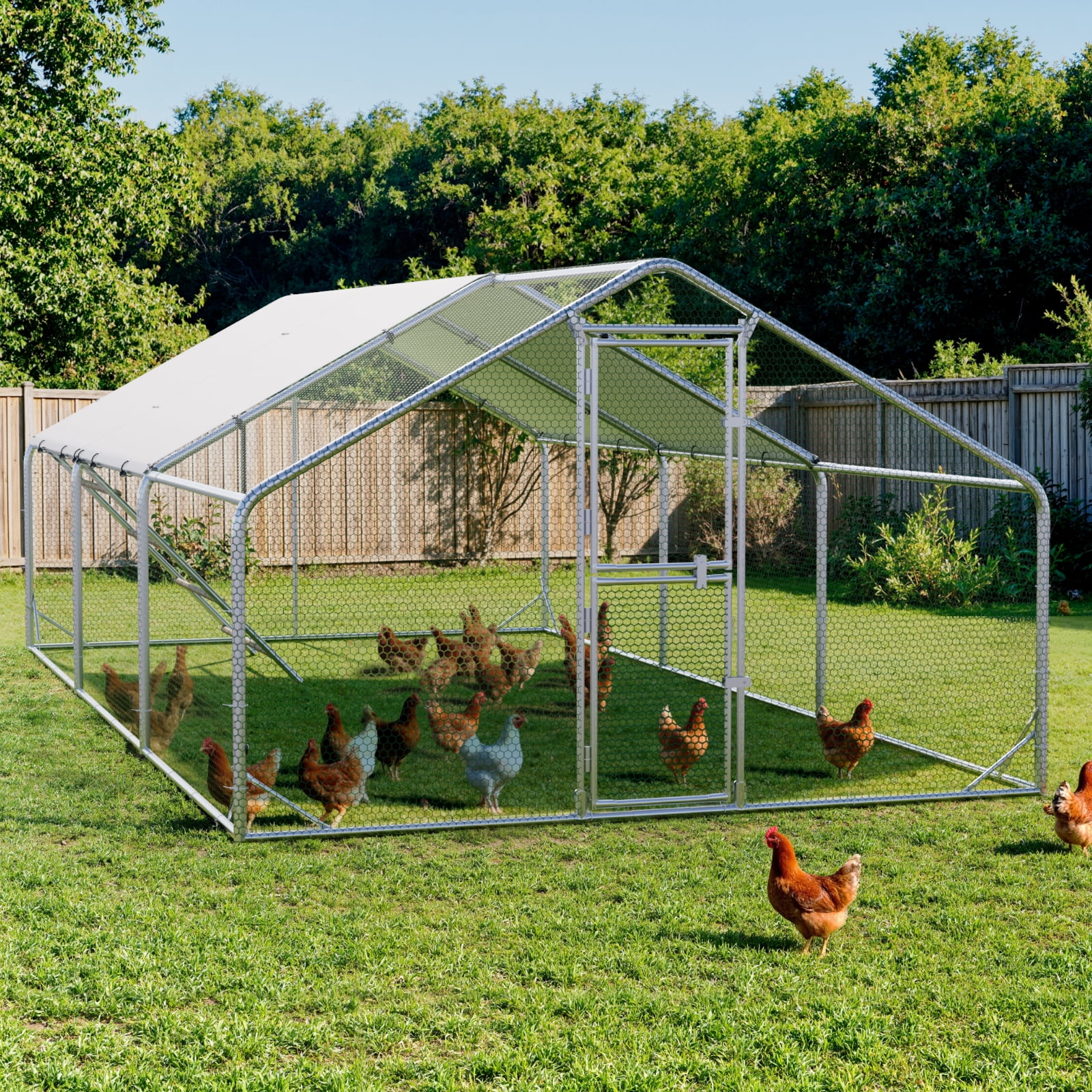 10x20 ft Walk-in Metal Chicken Coop with Run, Ground-Contact Frame ...