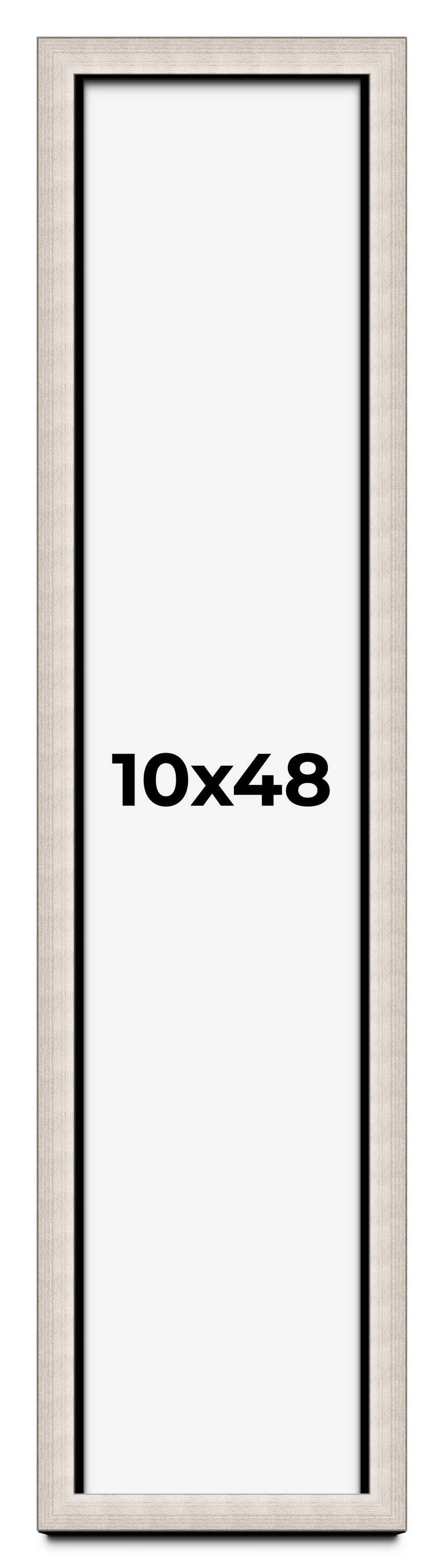 10x48 Shadow Box Brushed Silver | 1.5 Inch Deep | 1.25 Inch Moulding ...