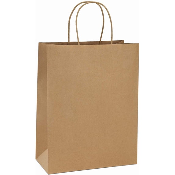 10x5x13 Shopping Bags 100 count Brown Paper Bags with Handles Bulk, for ...