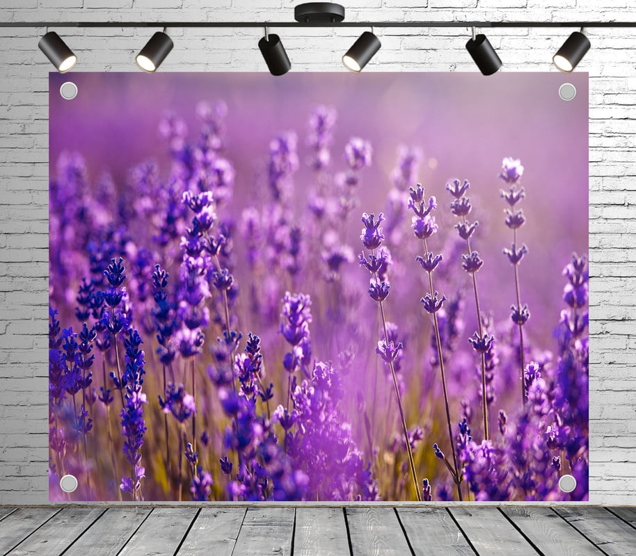 10x8ft Dreamy Lavender Field Backdrop Photoshoot Photo Backdrop Nature ...