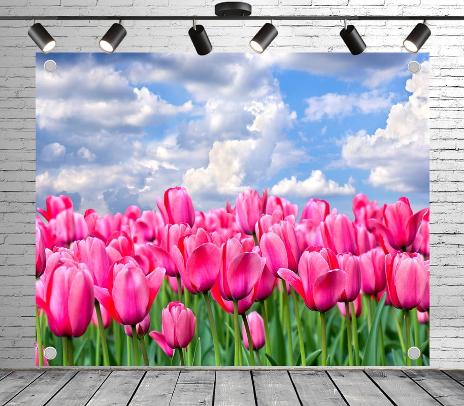 10x8ft Gorgeous Pink Tulip Field Backdrop Photoshoot Photo Backdrop ...
