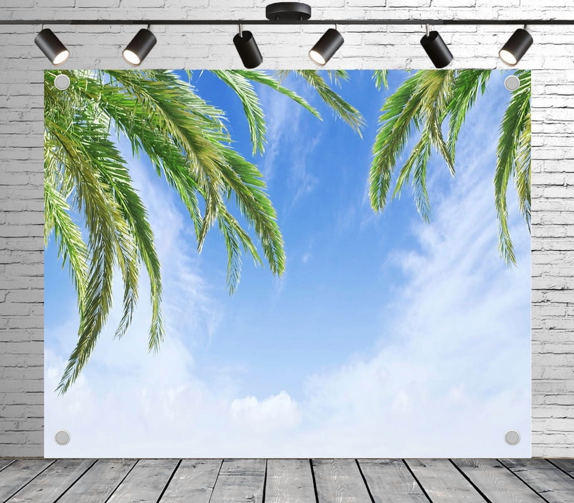 10x8ft Tropical Palm Backdrop–Palm Leaves, Blue Sky & Soft Clouds ...