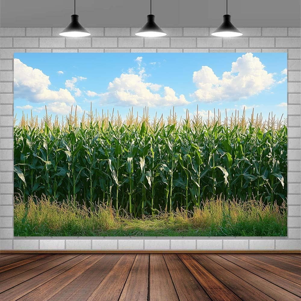 10x8ftCorn Stalks Photo Backdrop Photography Background, Green Outdoor ...
