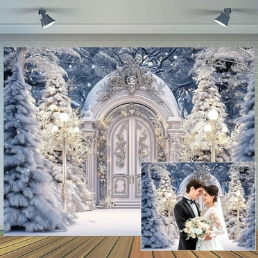 Beistle Pack of 6 Christmas Holiday Decorative Winter Sky Backdrop 4' x ...