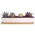 11.1 inch Long Rectangle White Ceramic Succulent Planter Pots/Mini ...