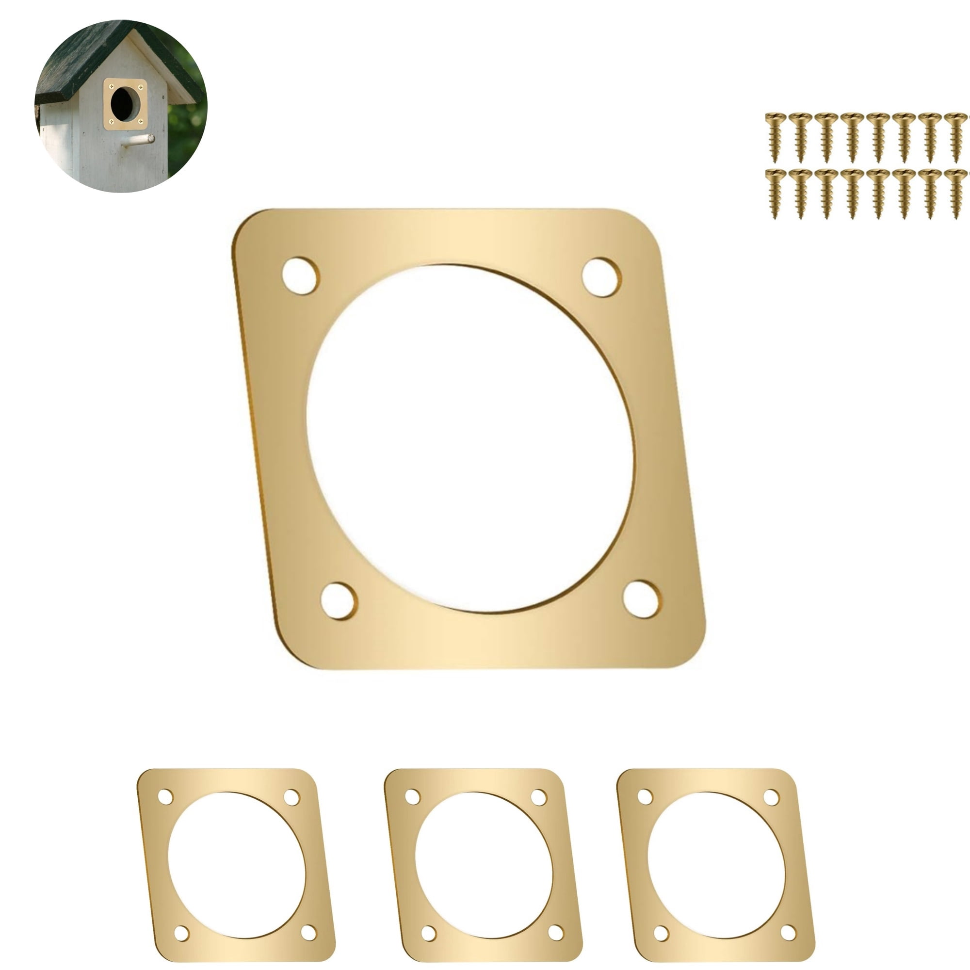 11/2in Outside Bird House Hole Protector QZS 4pack of Portable Bluebird ...