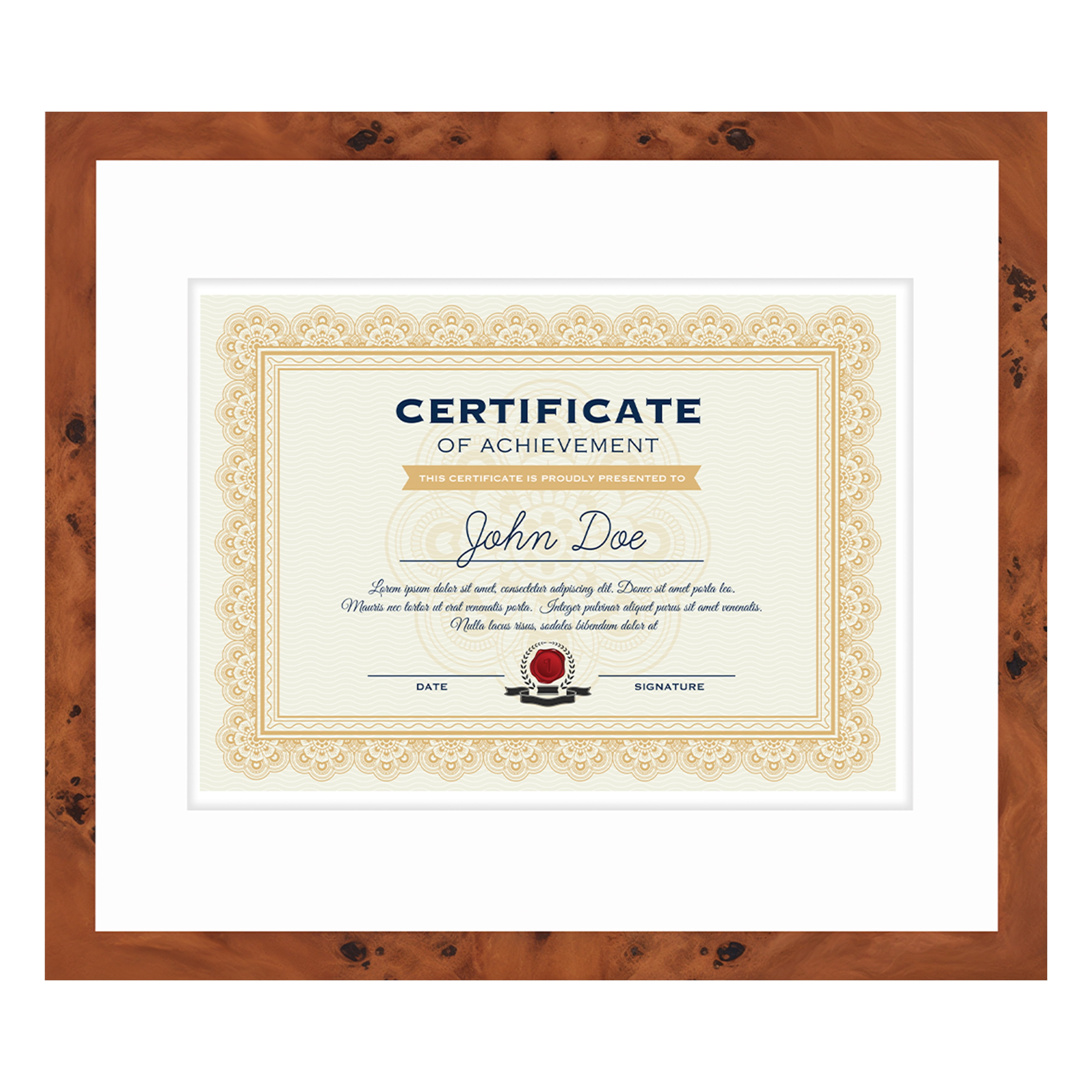 11.5x13.5 Brown Diploma Frame - White on White Double Mat - Displays 7 ...