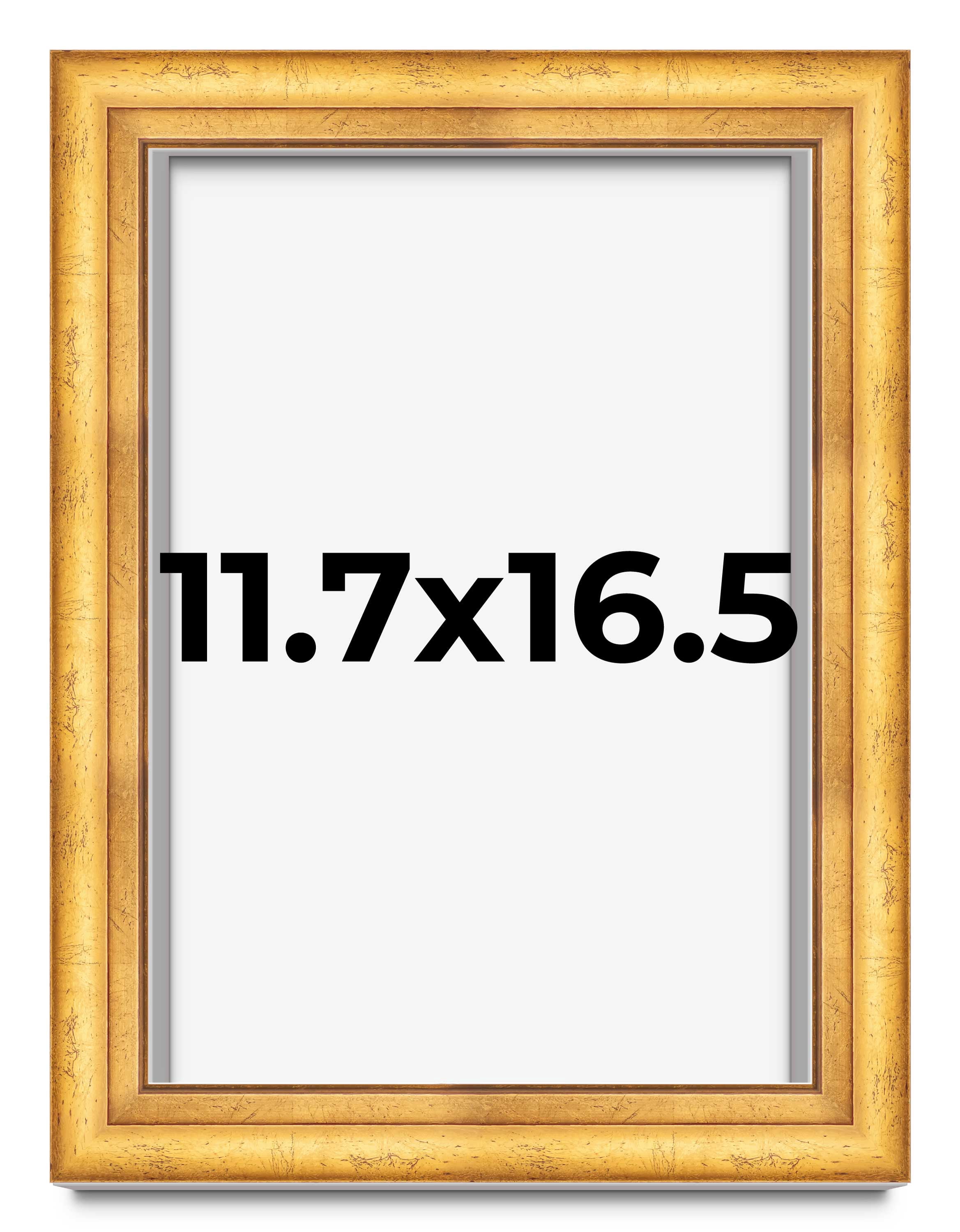 11.7x16.5 Shadow Box 1.75" Deep Gold Picture Frame - UV Acrylic ...