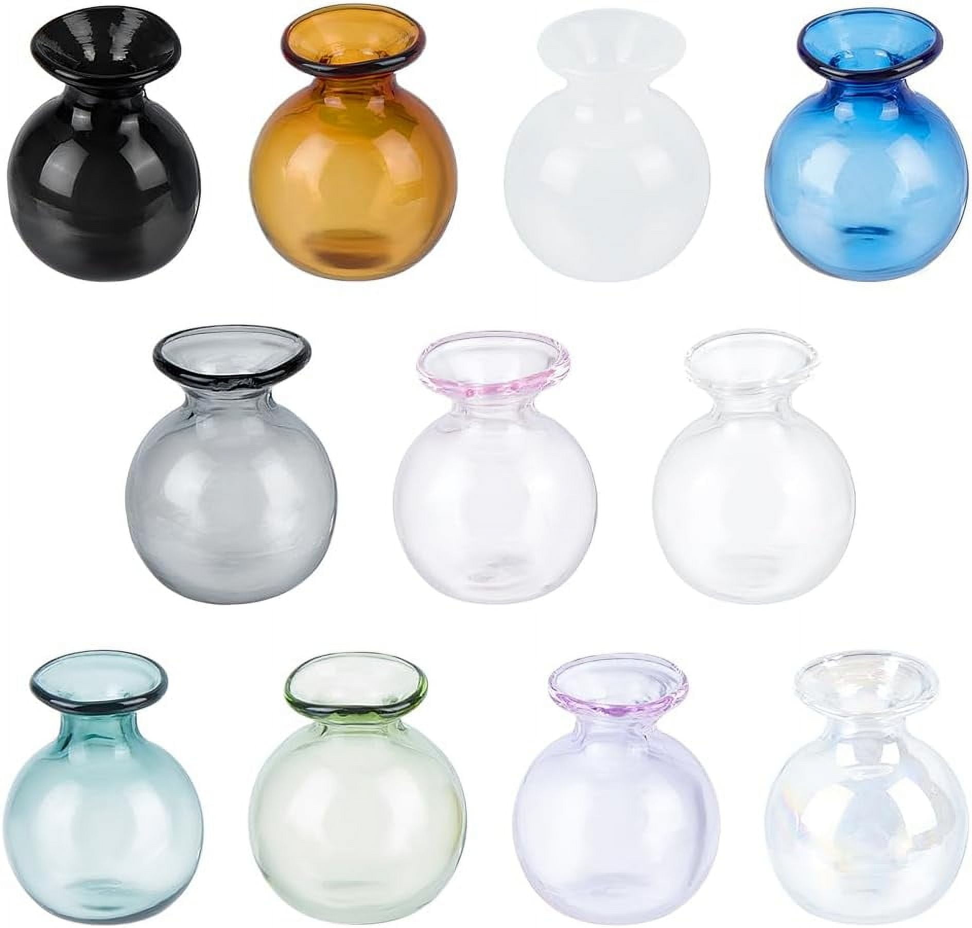 11 Colours Mini Vase Tiny Vase Cat Whisker Small Clear Vase Coloured ...