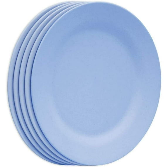 PHYSUN-11 Inch Dinner Plate Set, Extra Large Pasta Plates, Unbreakable ...