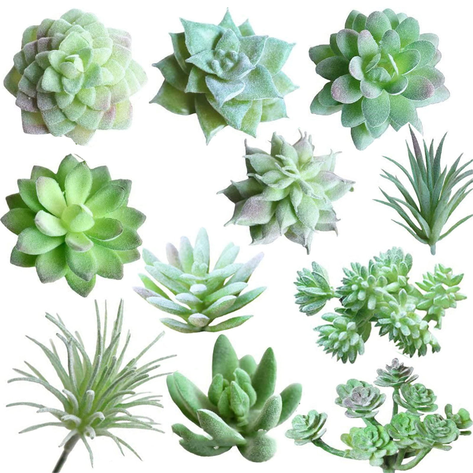 Realistic Faux Succulent Plants – TSDG