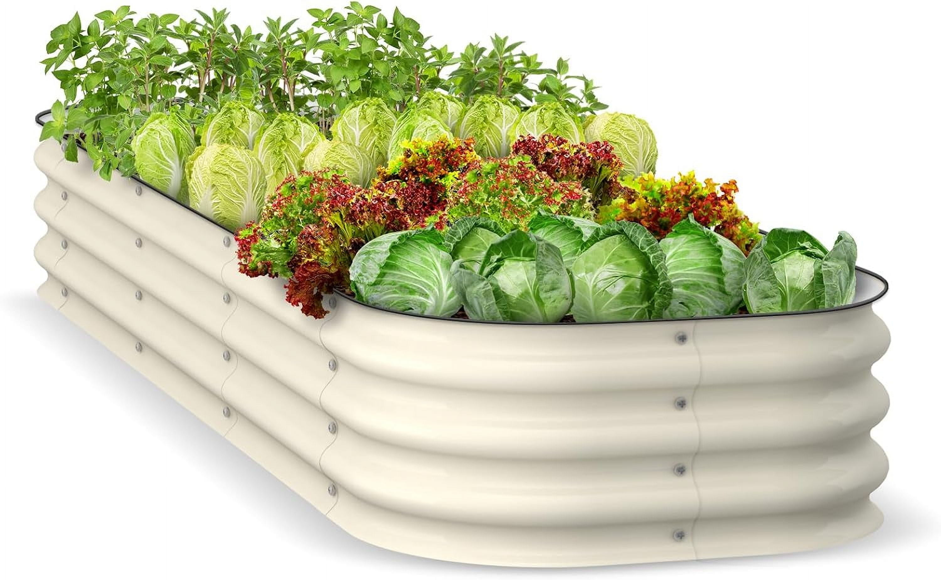 11" Tall 6x2ft Galvanized Raised Garden Bed Kit, 6IN1 Large Oval ...