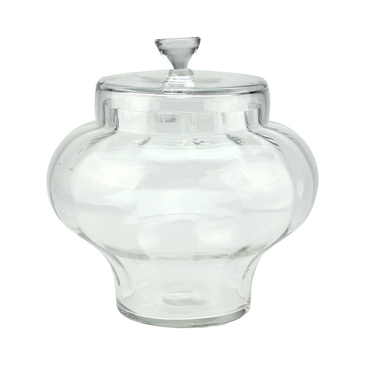 11" Transparent Segmented Glass Container with Lid - Walmart.com