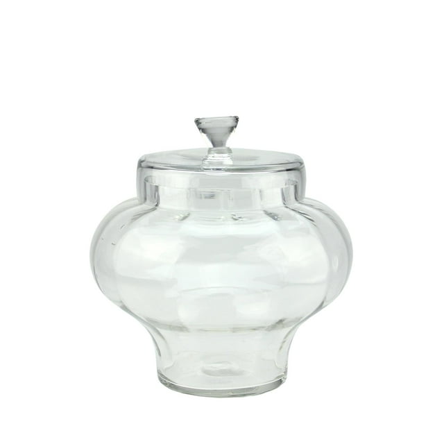 11" Transparent Segmented Glass Container with Lid - Walmart.com