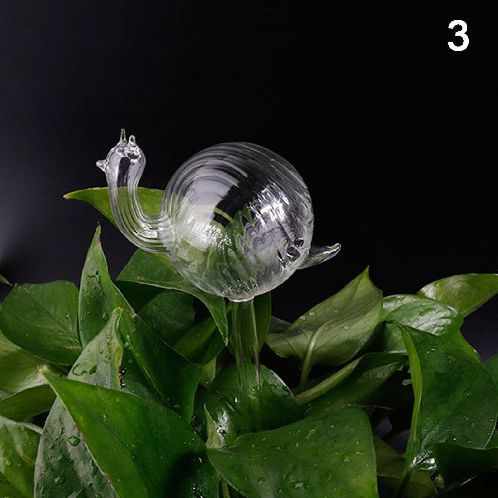 11 Types Glass Plant Flowers Water Feeder Automatic Self Watering ...