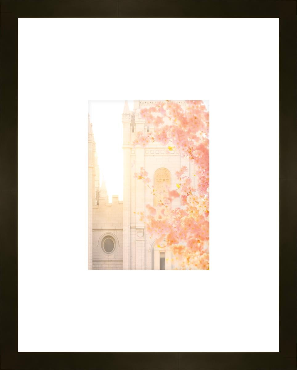 11 X 14 Salt Lake Blossom Glow Faux Mat by Alan Fullmer - Walmart.com