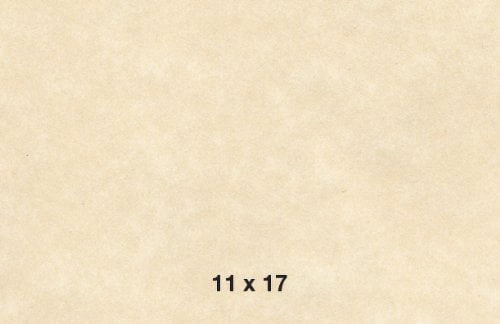 11 X 17 Stationery Parchment Recycled Paper 65lb. Cover Cardstock - 50 ...