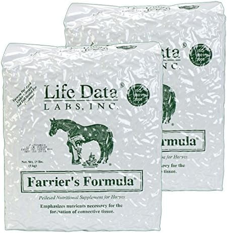 11 lb Refill Bag 2 Pack - Walmart.com