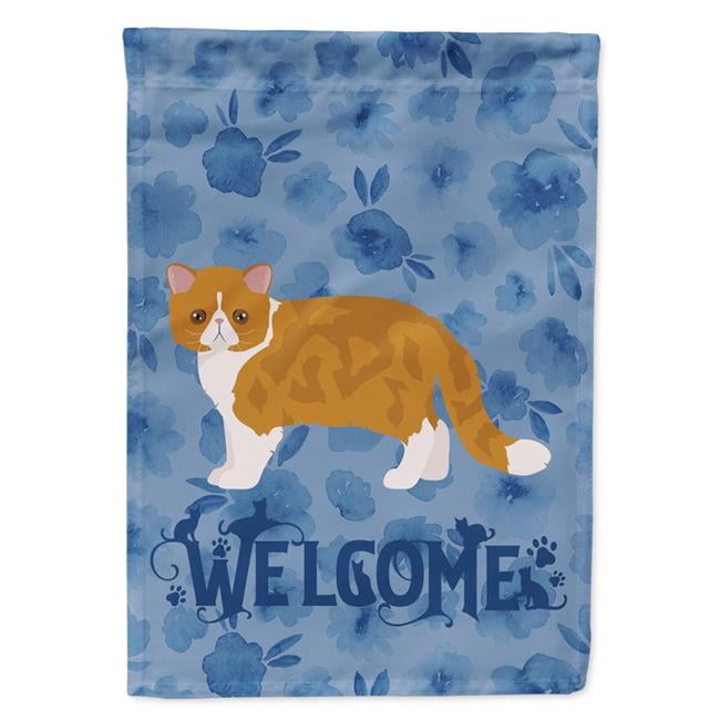 11 x 0.01 x 15 in. Exotic Shorthair No.3 Cat Welcome Flag Garden Size ...