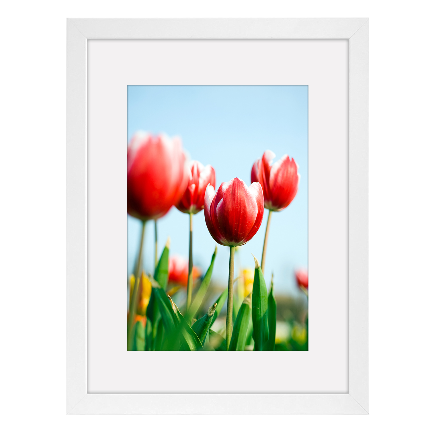 11 x 14 White Picture Frame - Displays Photos 8 x 10 with Mat - Walmart.com