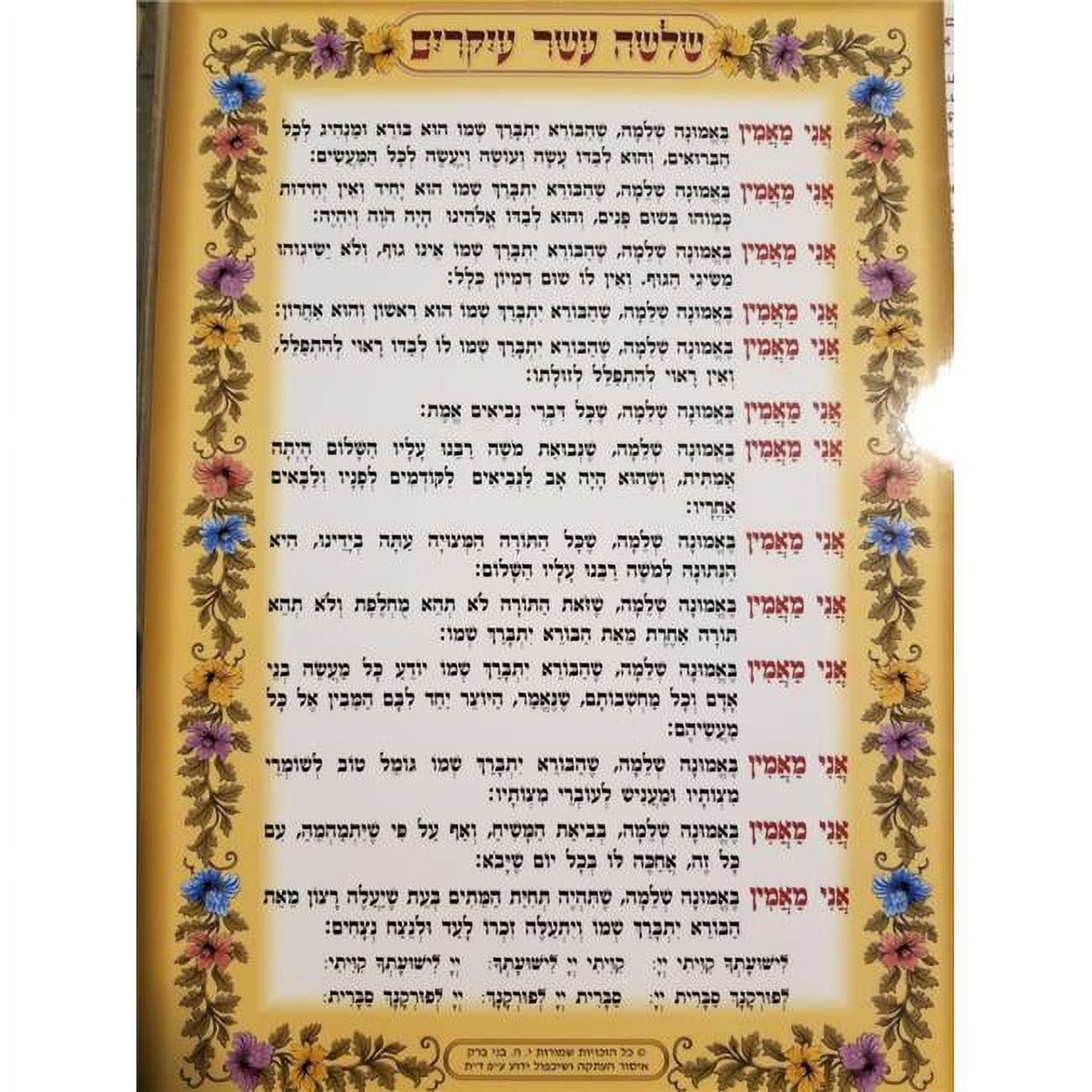 11 x 16 in. Ani Mamin Large Laminated Poster - Walmart.com