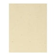11 x 17 Cardstock - Stone (250 Qty.) - Walmart.com