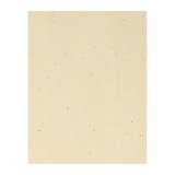 11 x 17 Cardstock - Stone (250 Qty.) - Walmart.com