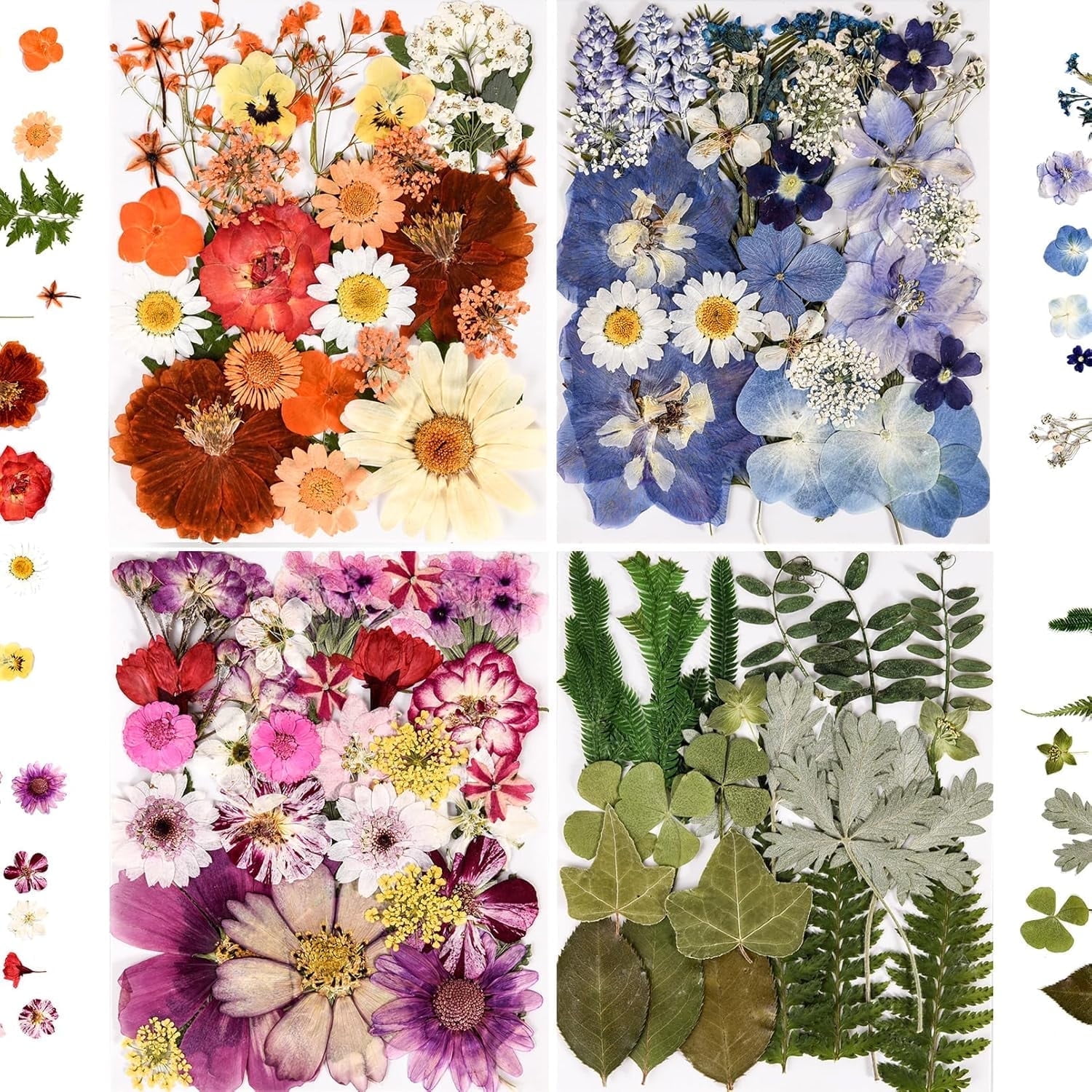110 Pcs Pressed Flowers, Real Dried Flower Leaves for Scrapbooking ...