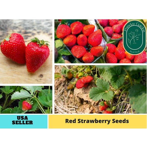 Strawberry Seeds in Seed Gardening - Walmart.com