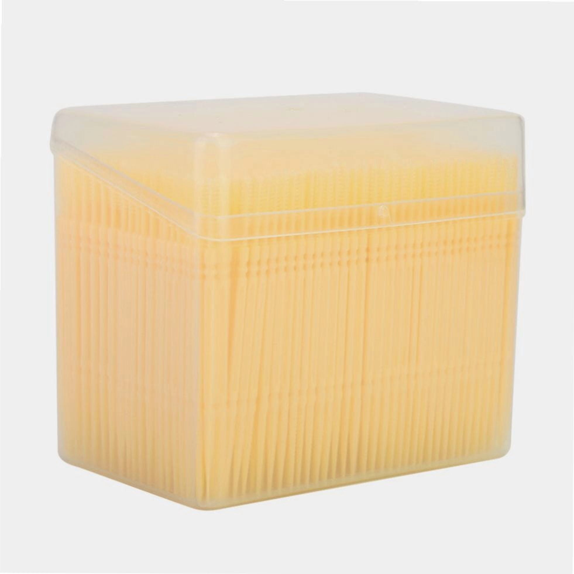 1100pcs Double Head Toothpicks Portable Dental Floss Teeth Cleaning ...