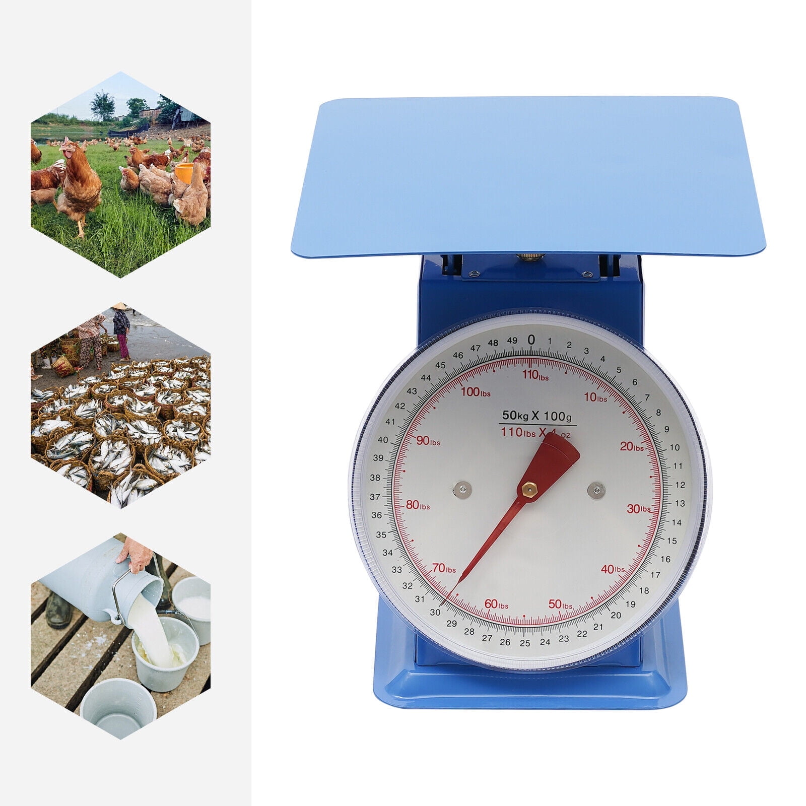 12.6inch Blue Heavy Duty Portion-Control Mechanical Kitchen Food Scale ...