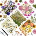 110Pcs Dried Flowers for Crafts, Real Pressed Flowers Dry Leaves Bulk ...