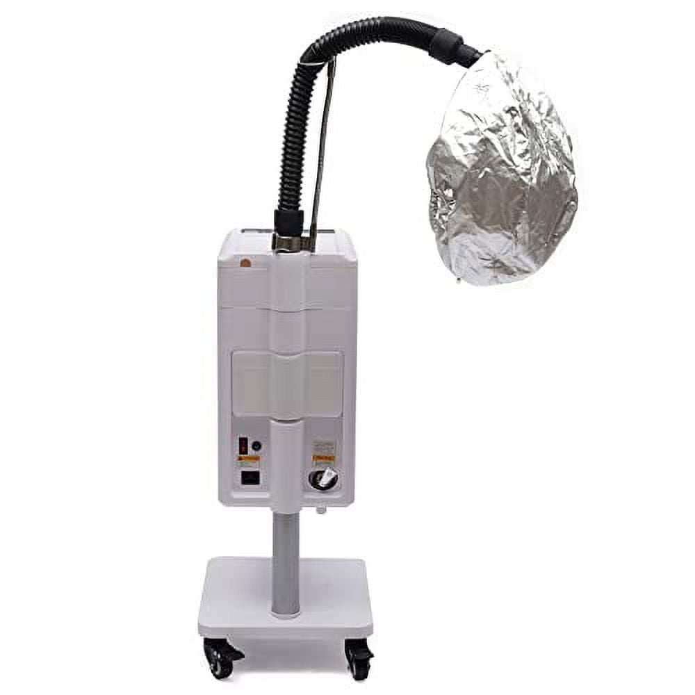 110V 500W Multifunctional Anion Hair Dyeing Machine, Nano Hair Steamer ...
