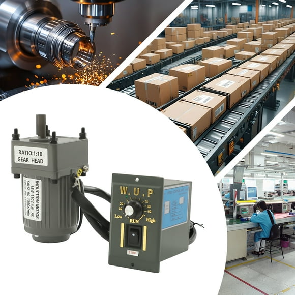 Variable Speed Electric Motor Control