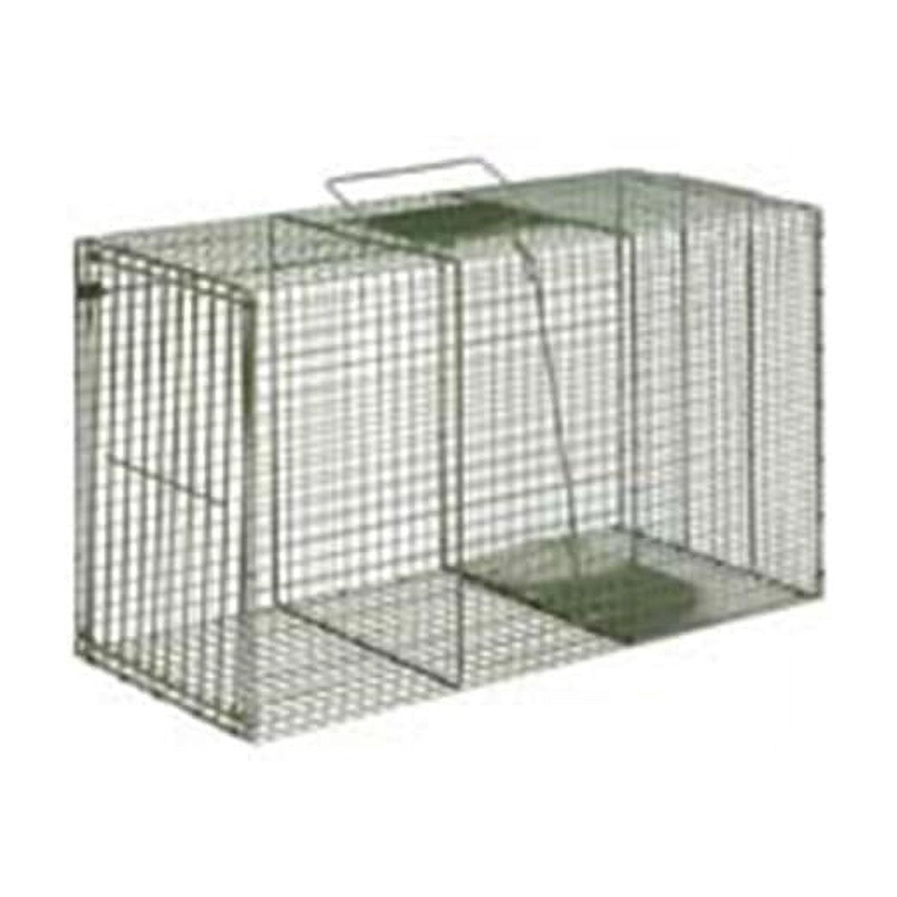 1120 Heavy Duty 2XL Cage Trap - Walmart.com