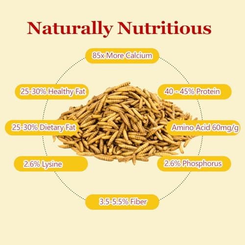 11LB Black Soldier Fly Larvae for Chickens Treats - Dried BSF Larvae ...