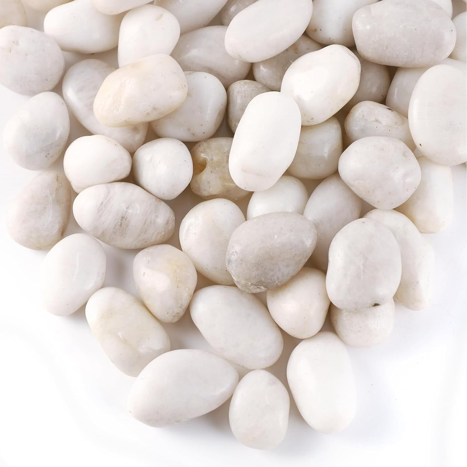 11LB River Pebbles Polished Gravel for Plants Natural White Plant ...