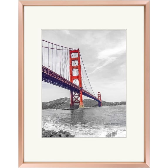 , 11x14 Metal Picture Frame with Mat for 8x10 Picture & Real Glass ...