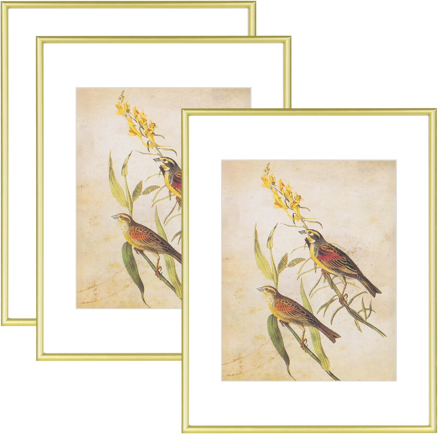 11x14 Picture Frame Set of 3, Matte Gold Modern Aluminum Metal Photo ...