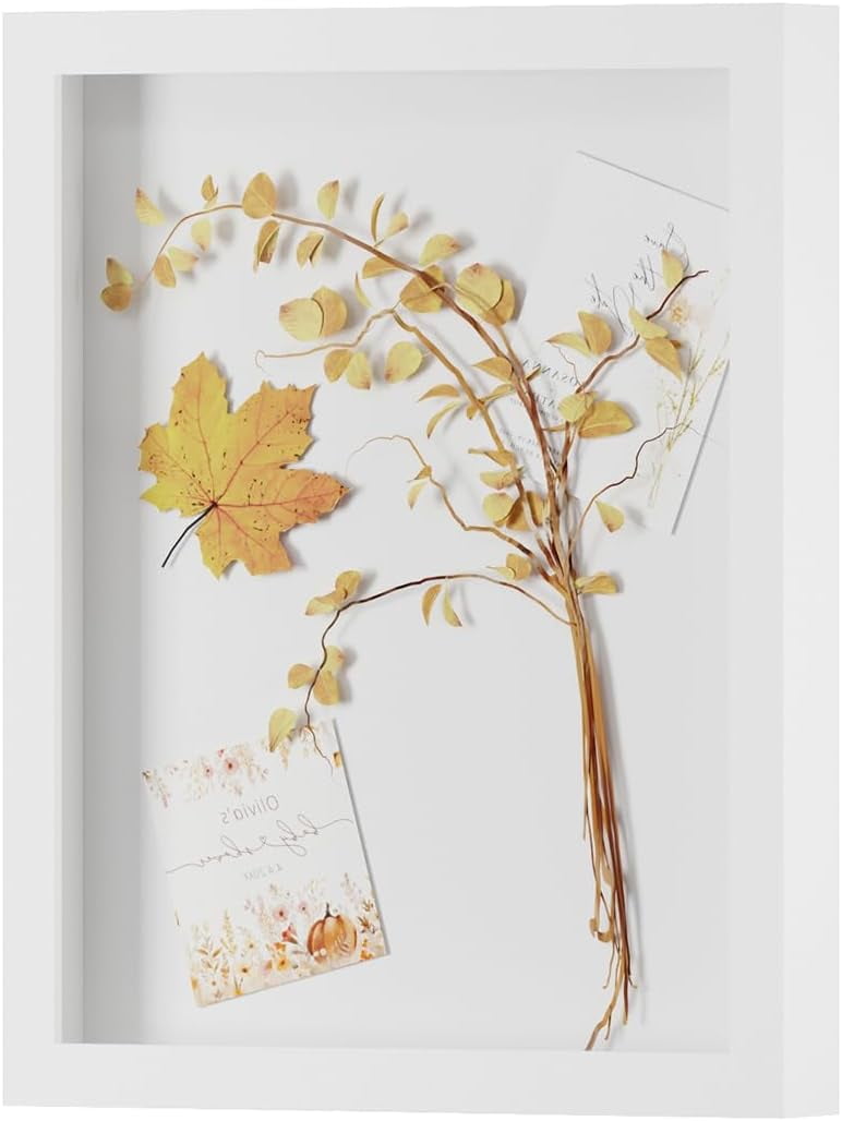 11x14 Shadow Box Frame Display Case with Real Glass, Picture Frame for ...