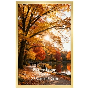 11X17 Poster Frames