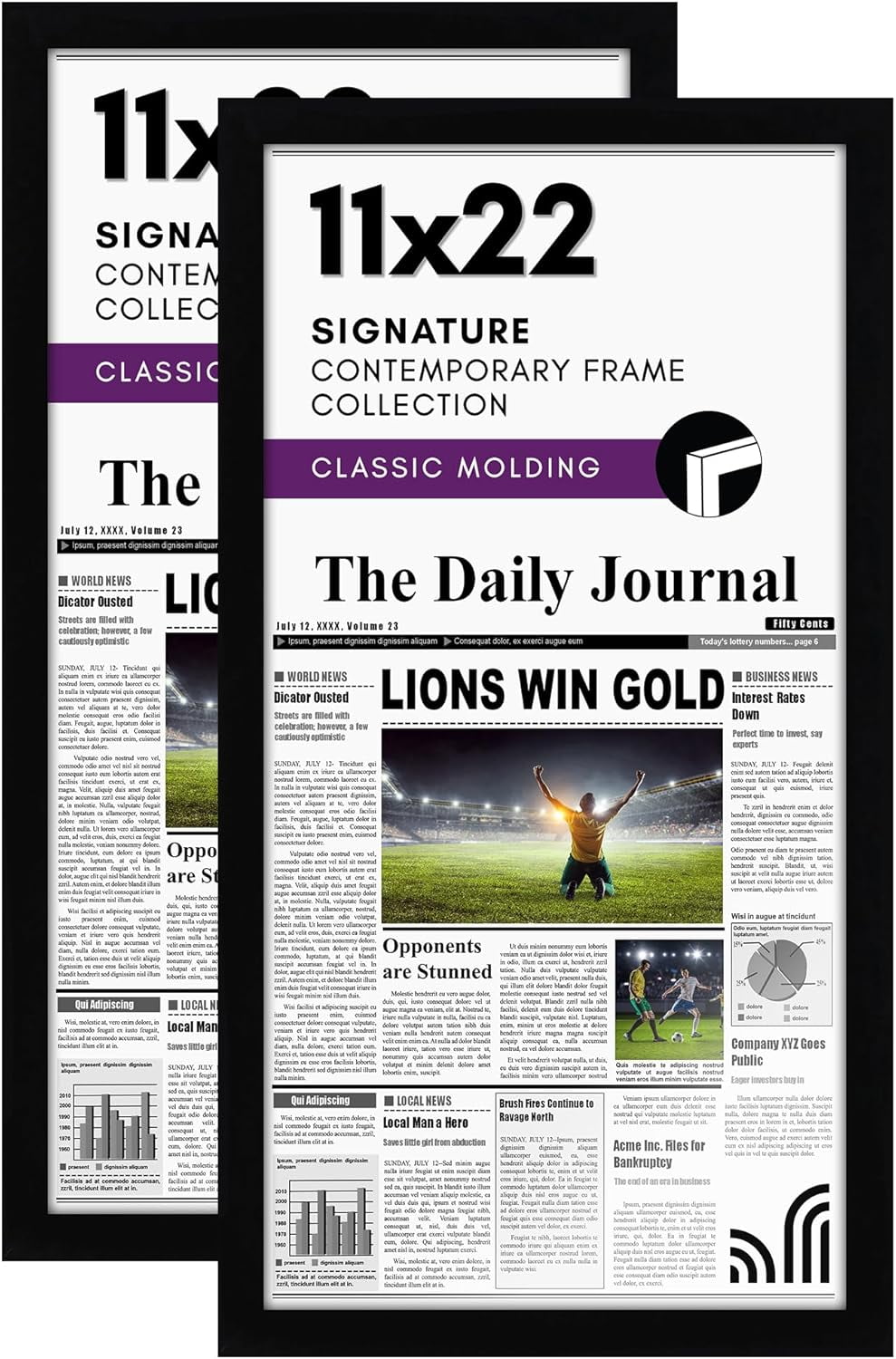 11x22 Newspaper Frame with Polished Plexiglass - Set of 2 - Display for ...
