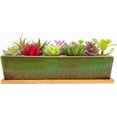 12.1 Inch Large Succulent Planters Pots with Drainage Tray, Long ...