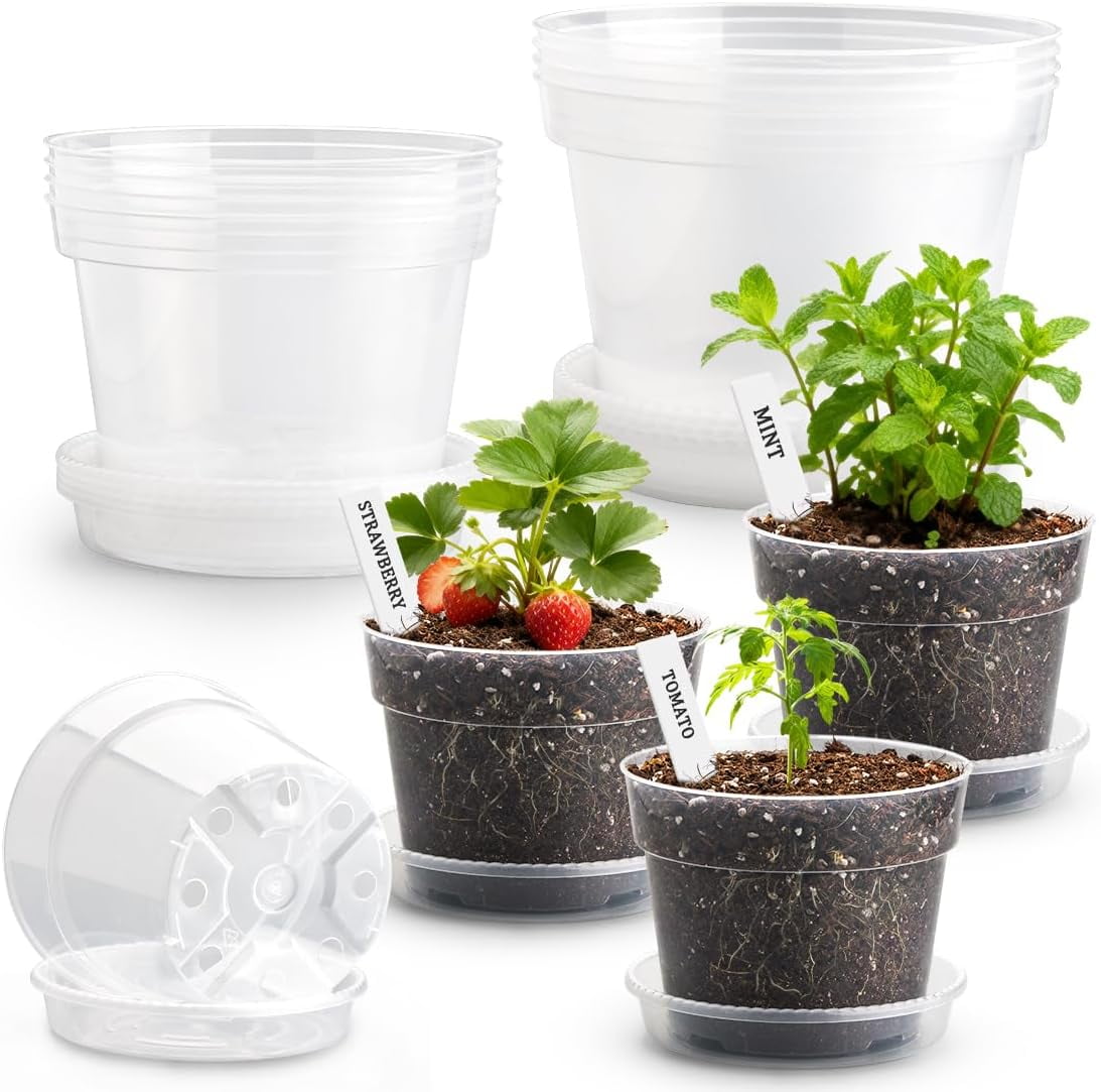 12 10/8/6 Inch Clear Pots with , Label, Gardening Gloves, Transparent ...